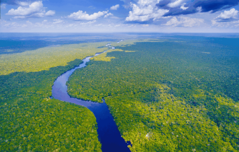 Jungle Keepers’ Urgent Call to Save This Amazon Refuge - Clean Living Path