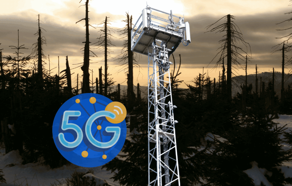 The Devastating Truth About 5G’s Impact on Tree Life - Clean Living Path
