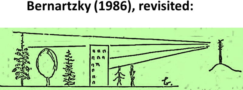 The Devastating Truth About 5G’s Impact on Tree Life - Clean Living Path